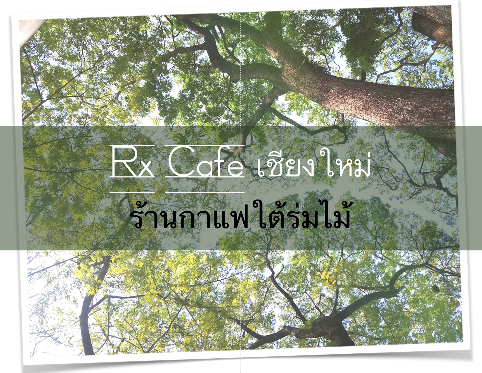 Rx Cafe เชียงใหม่ อร่อยฟินเฟิร์ม